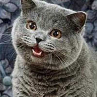 I Can Haz Interwebz? - Laclede's LAN